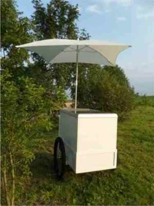 Basic ijscokar – MijnPartyservice